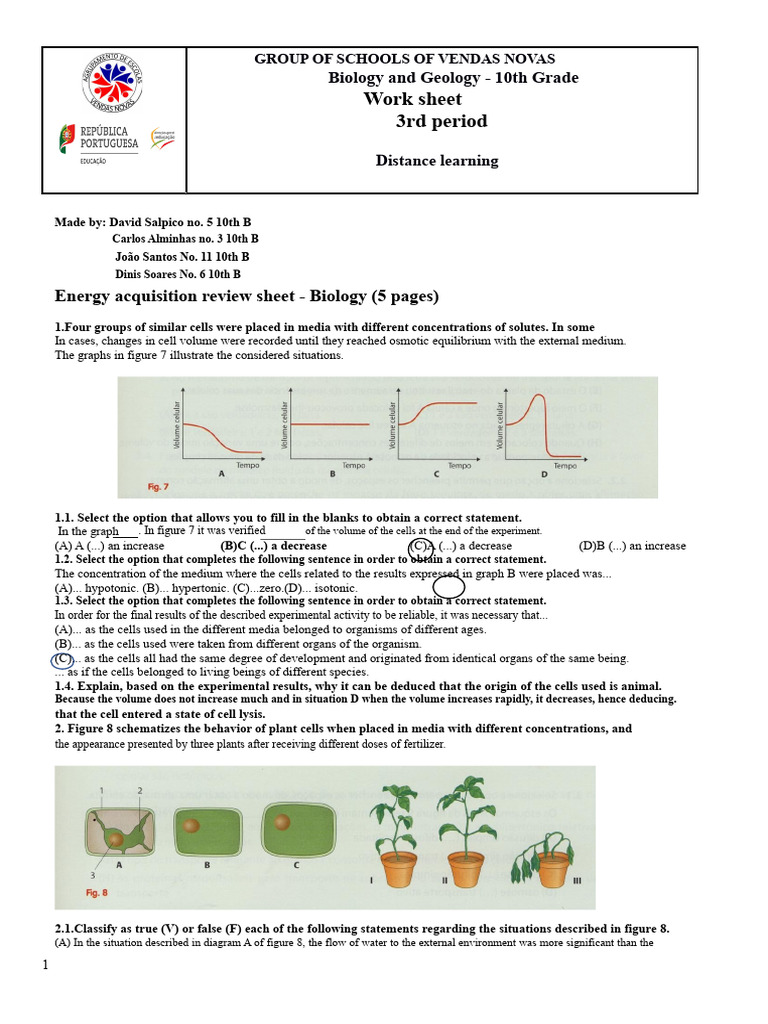 Revision Sheet 1 | PDF | Digestion | Cell Membrane
