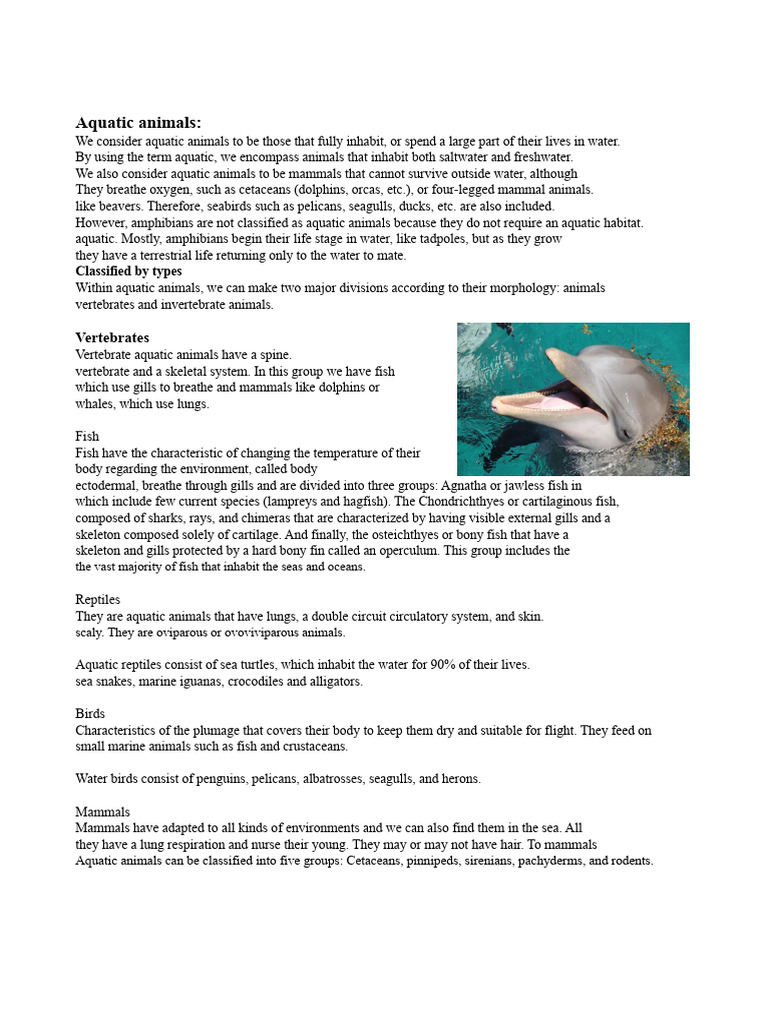 Aquatic Animals | PDF | Vertebrates | Fish