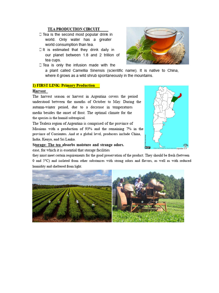 Tea Production Circuit | PDF | Tea