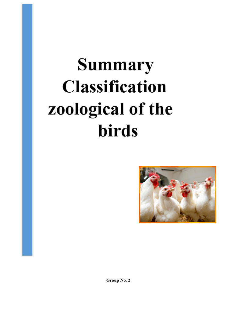 Summary of The Zoological Classification of Birds | PDF | Reproductive ...