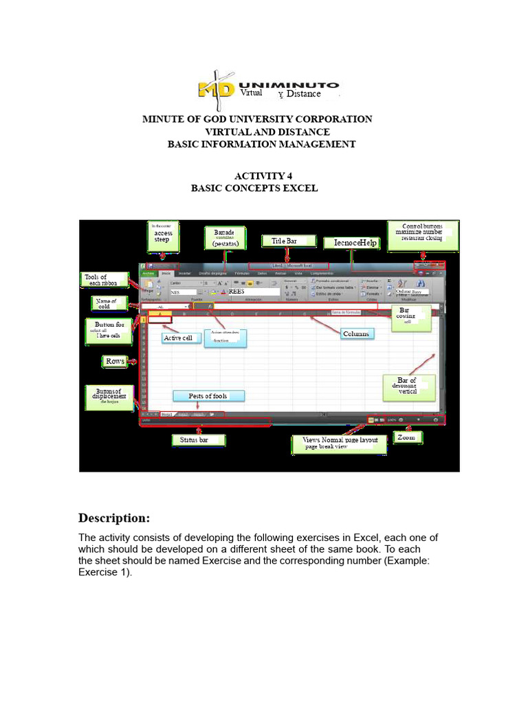 Excel Exercises for Basic Information Management | PDF | Microsoft ...