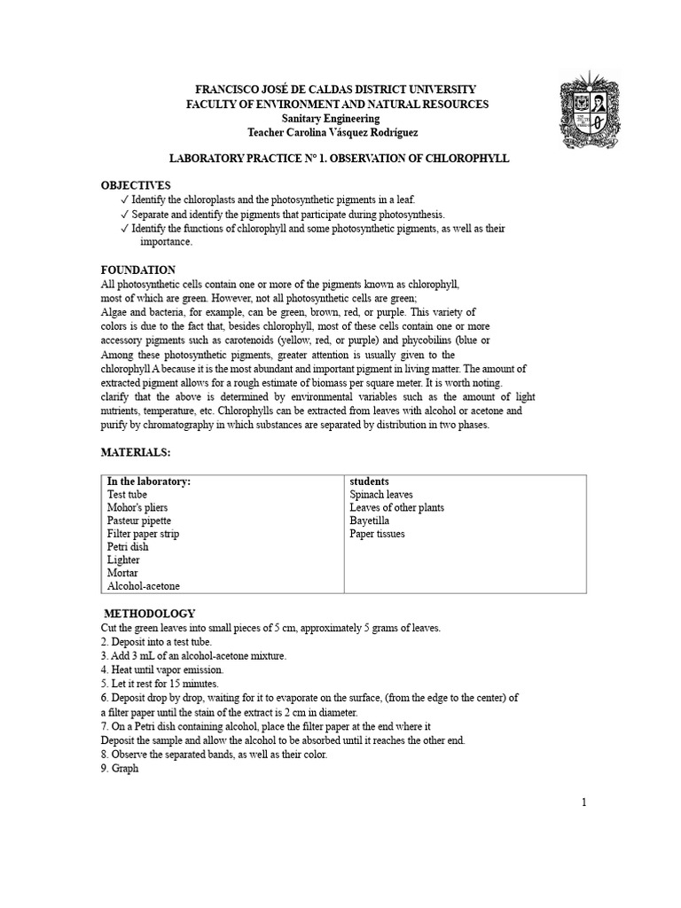 Chlorophyll Observation Lab Practice | PDF | Photosynthesis | Chlorophyll