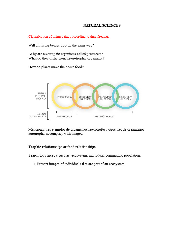 Catastrophic Chains, Ecosystems | PDF | Food Web | Biology