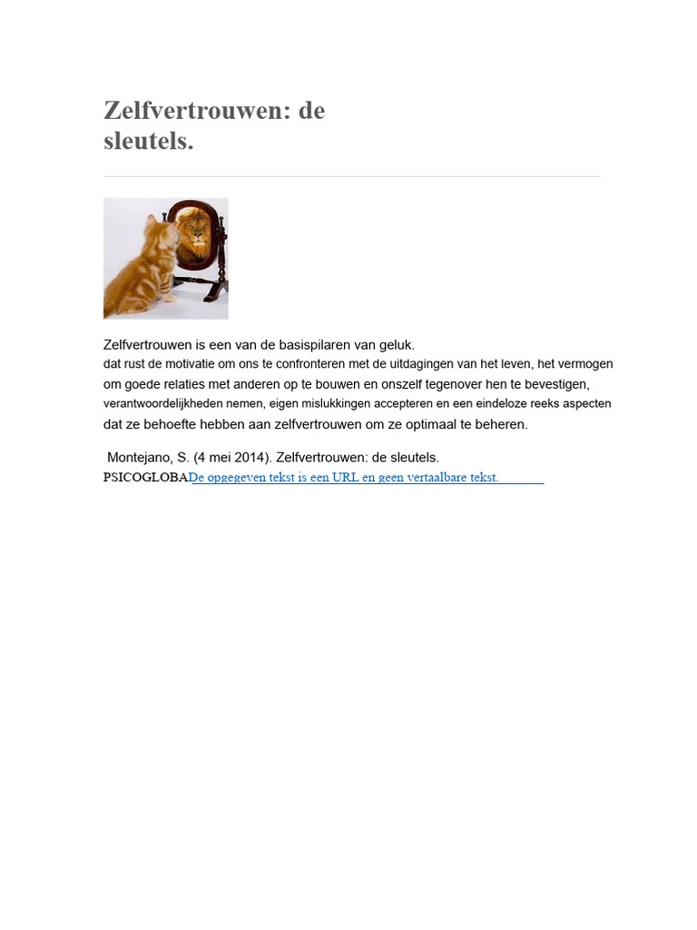Zelfvertrouwen | PDF