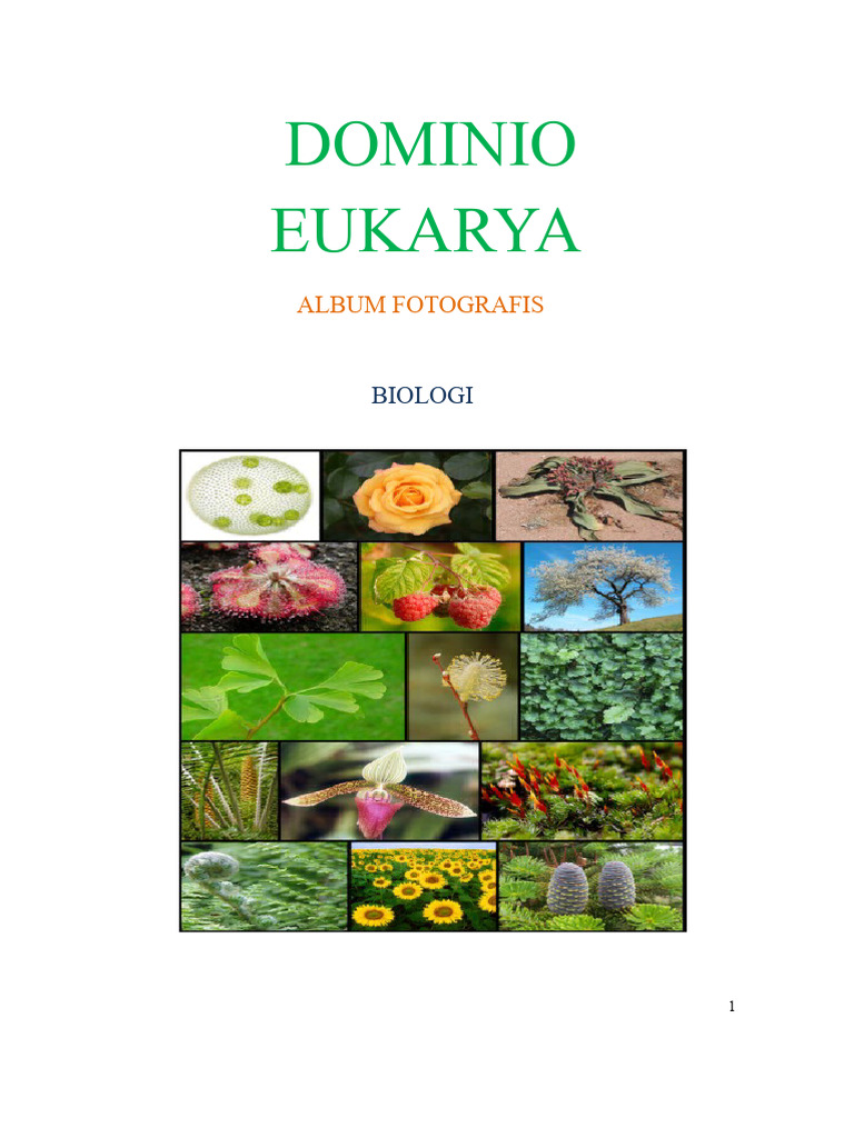 Klasifikasi dan Karakteristik Eukarya | PDF