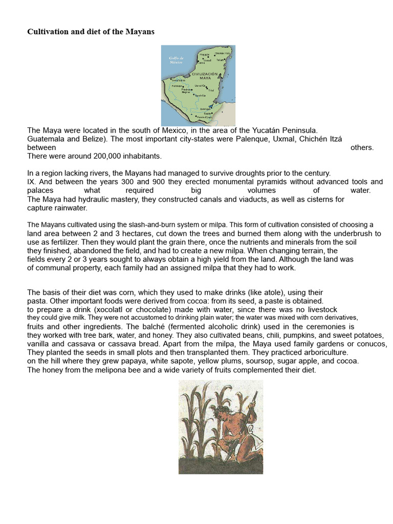 Cultivation and Diet of The Mayans | PDF | Maya Civilization | Agriculture