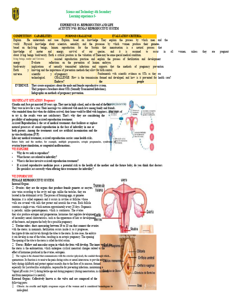 EXPERIENCE 5 - ACTIVITY 03 - 4th Human Reproductive System 2023 | PDF ...