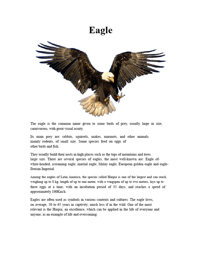 Eagle | PDF