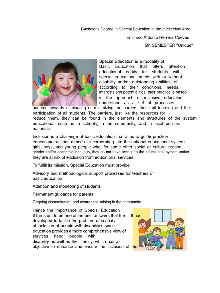 Special Education Bachelor's Overview | PDF | Special Education ...