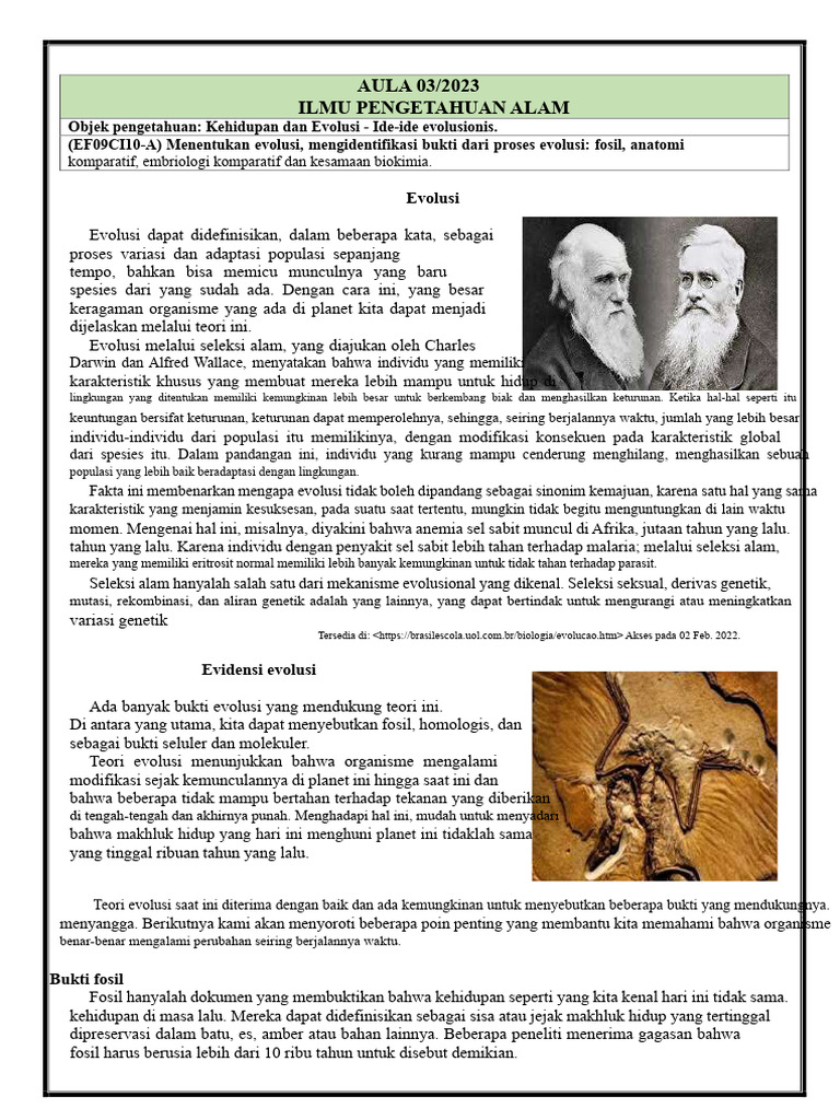 PELAJARAN 03 Evolusi | PDF