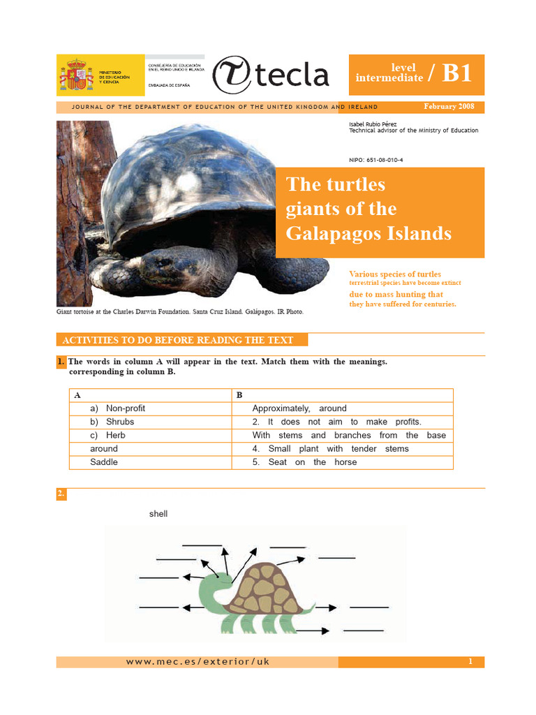 The Giant Tortoises of The Galapagos Islands | PDF | Galápagos Islands ...