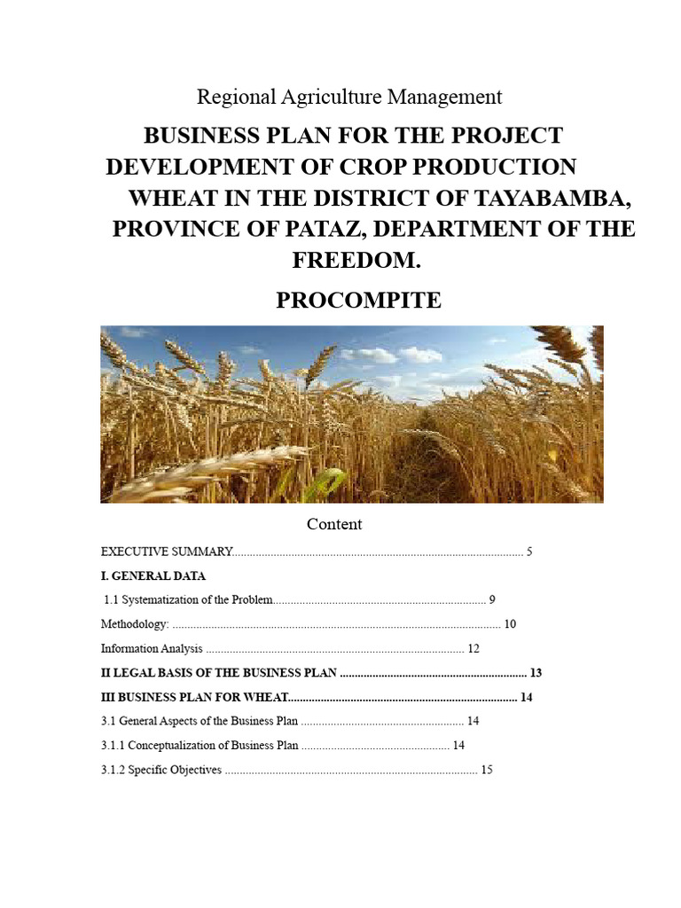Wheat Production Business Plan Tayabamba | PDF | Wheat | Agriculture