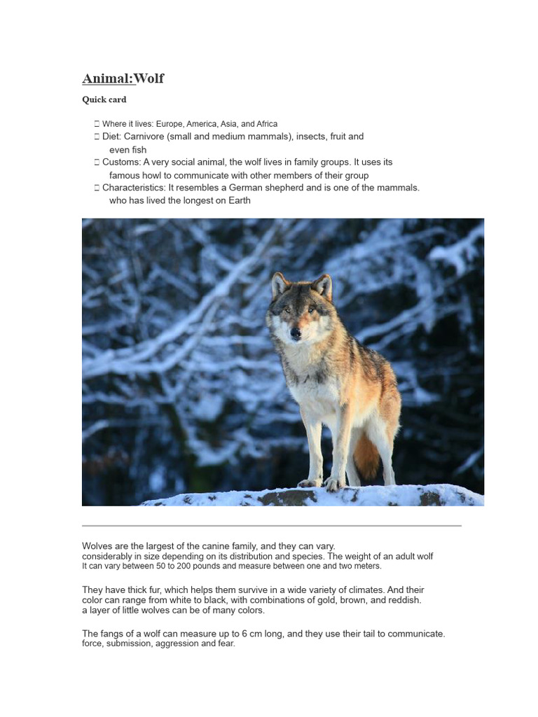 Wolf | PDF | Pack (Canine) | Canis Lupus