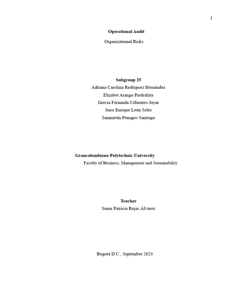 Final Delivery Operational Audit | PDF | Risk | Debt