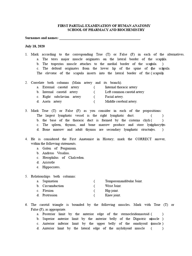 First Midterm Exam of Human Anatomy | PDF | Anatomical Terms Of Motion ...