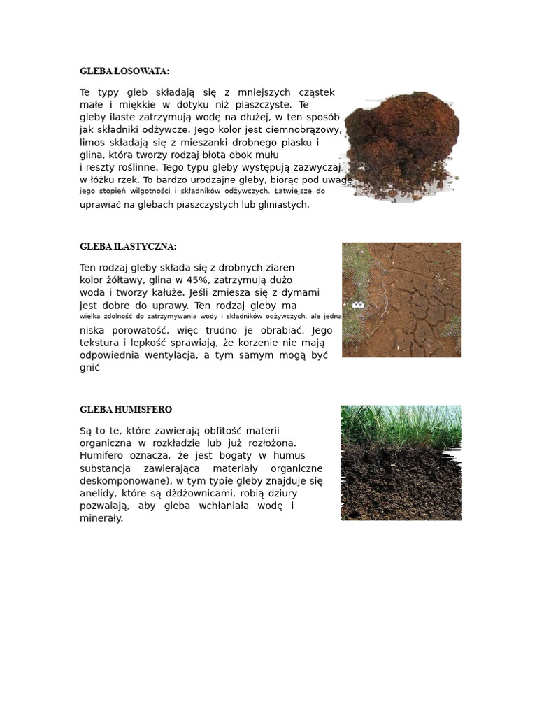 Rodzaje Gleb | PDF