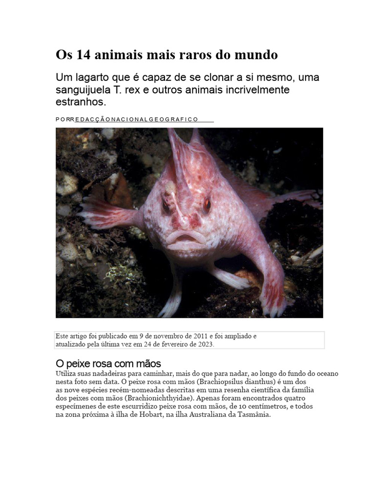 Animais Mais Raros do Mundo | PDF | Biologia | Zoologia