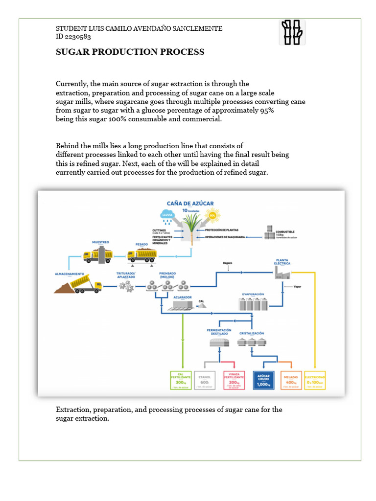 Sugar Production Process Overview | PDF | Sugarcane | Boiler
