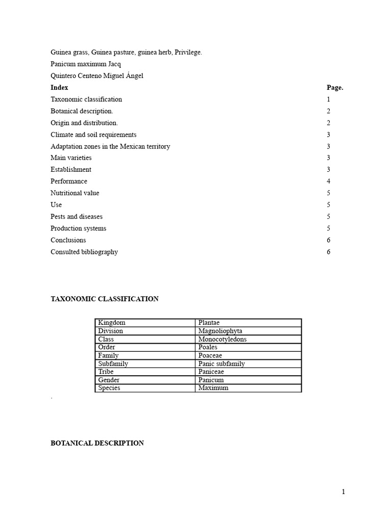 Guinea Grass: Cultivation and Benefits | PDF | Sowing | Grazing