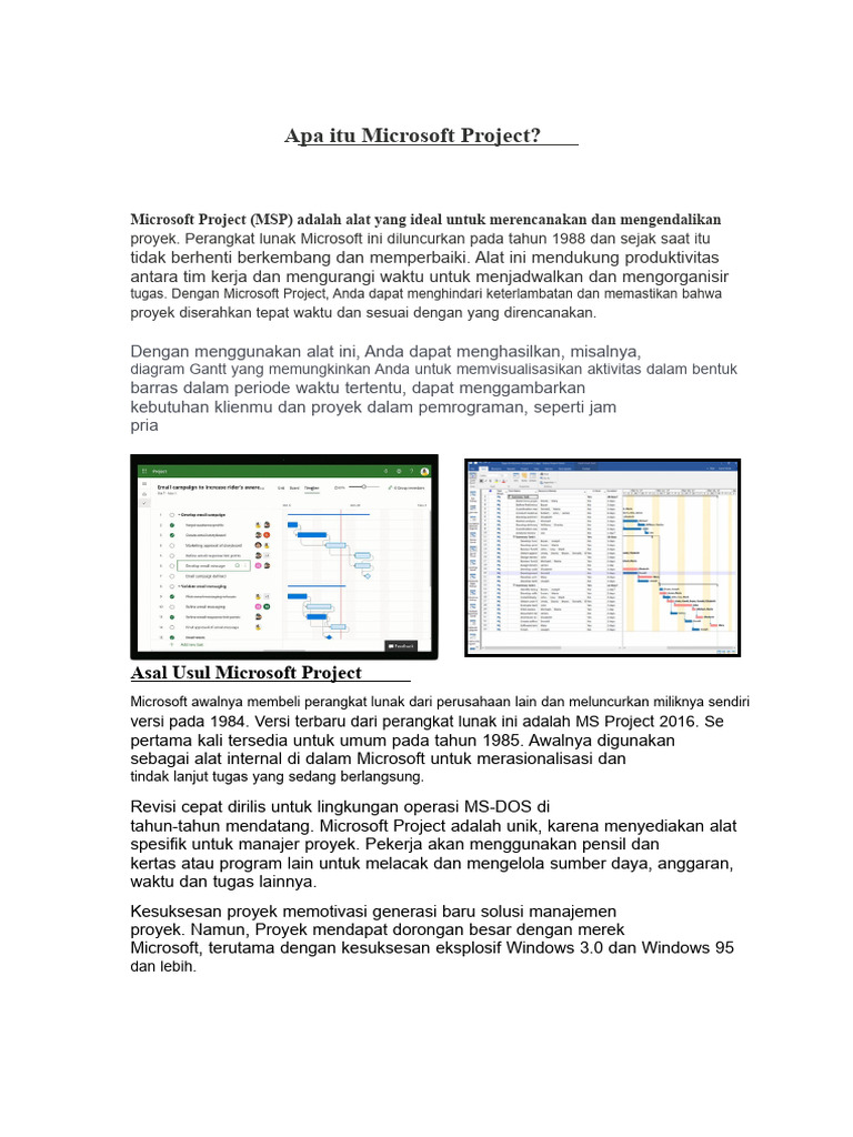 Apa Itu Microsoft Project | PDF