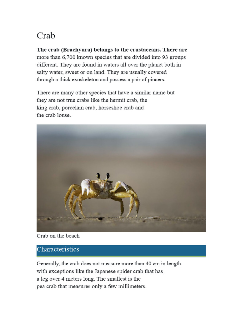 Comprehensive Guide to Crabs | PDF | Crab | Predation