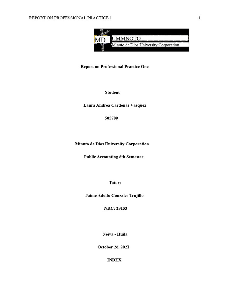 Professional Practice Report | PDF | Knowledge | Inventory