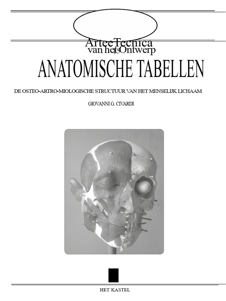 Anatomische Tabellen | PDF