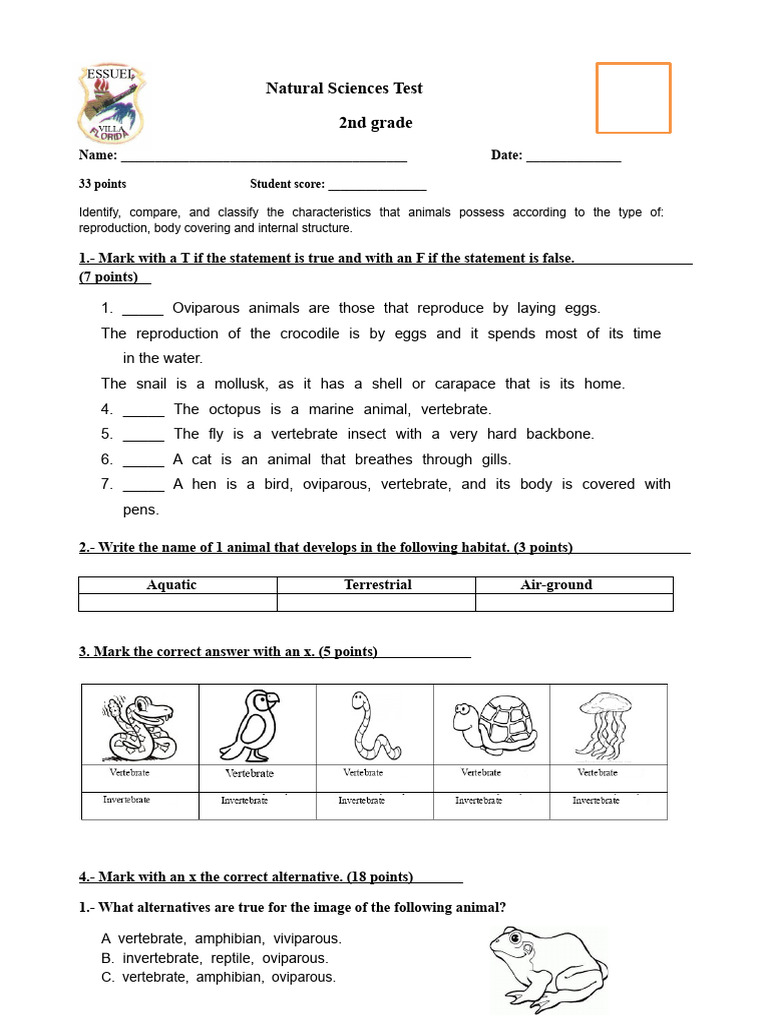 2nd Grade Animal Classification Test | PDF | Vertebrates | Egg
