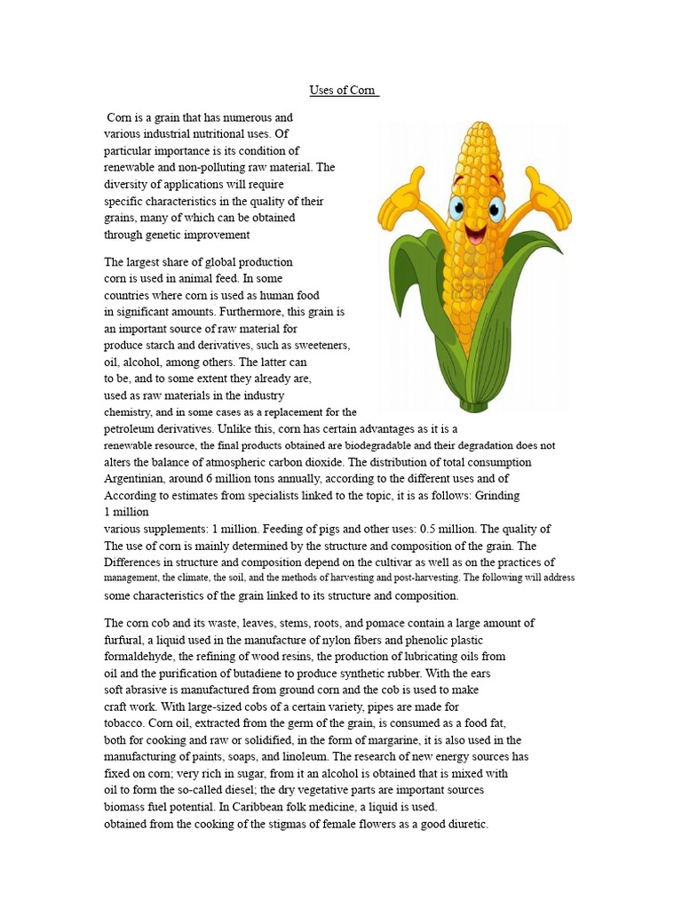 Uses of Corn | PDF | Maize | Renewable Resources