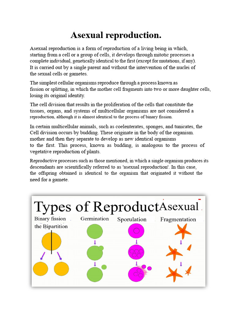 Asexual Reproduction | PDF