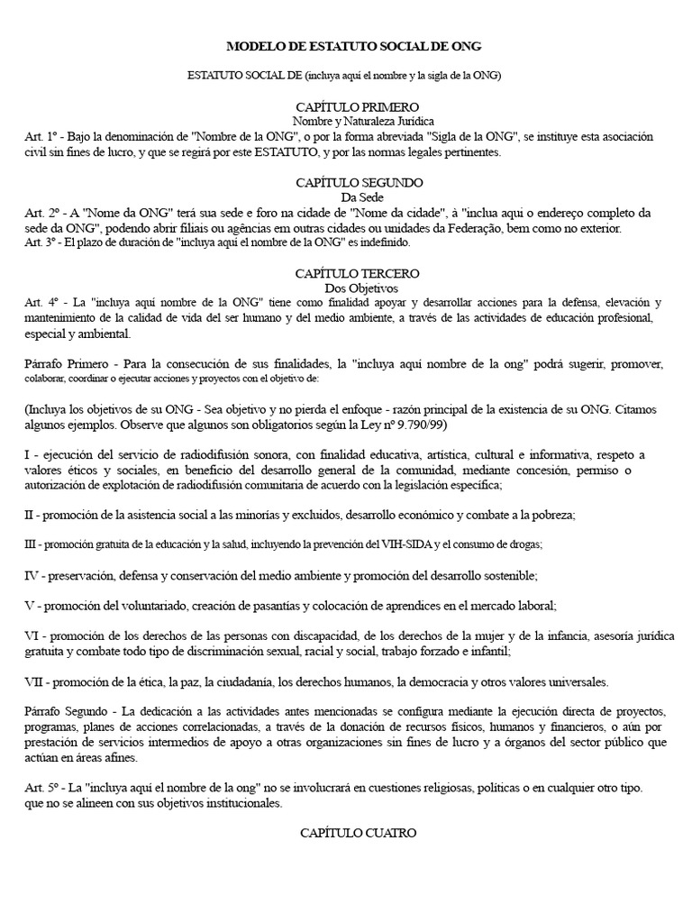 Estatuto Social para ONG: Guía Completa | PDF | Organización no ...