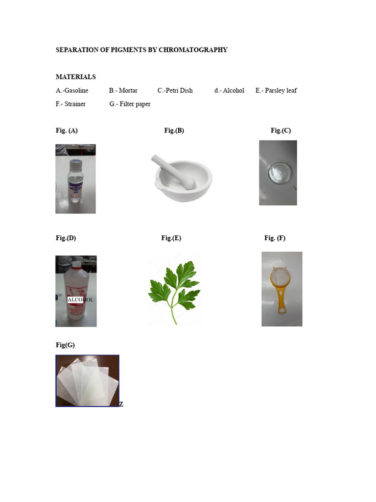 Separation of Pigments by Chromatography 2 | PDF | Carotenoid ...