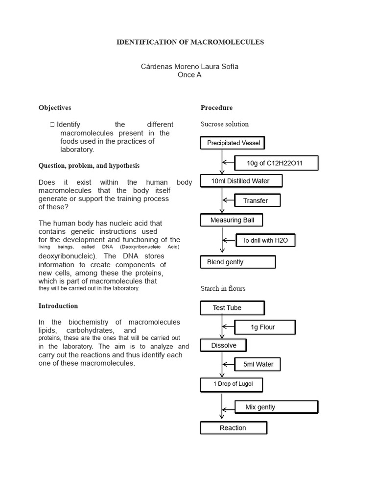 Identifying Food Macromolecules in Lab | PDF | Carbohydrates | Glucose