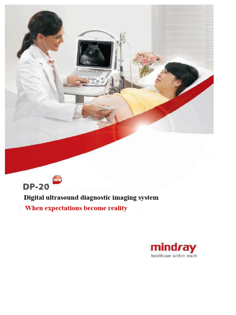 DP20 Brochure English | PDF