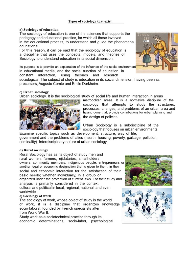 Types of Sociology That Exist | PDF | Sociology | Society