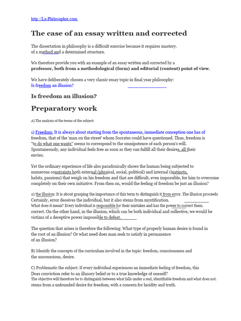 Philosophy Essay Example | PDF | Free Will | Baruch Spinoza