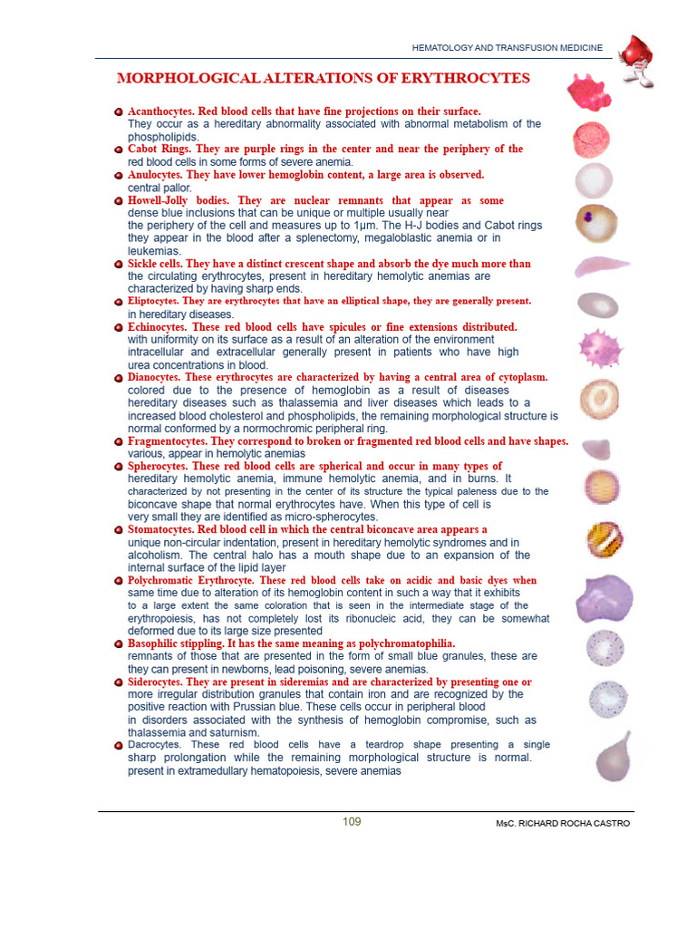 Atlas Morphological Alterations of Red Blood Cells PDF | PDF | Red ...