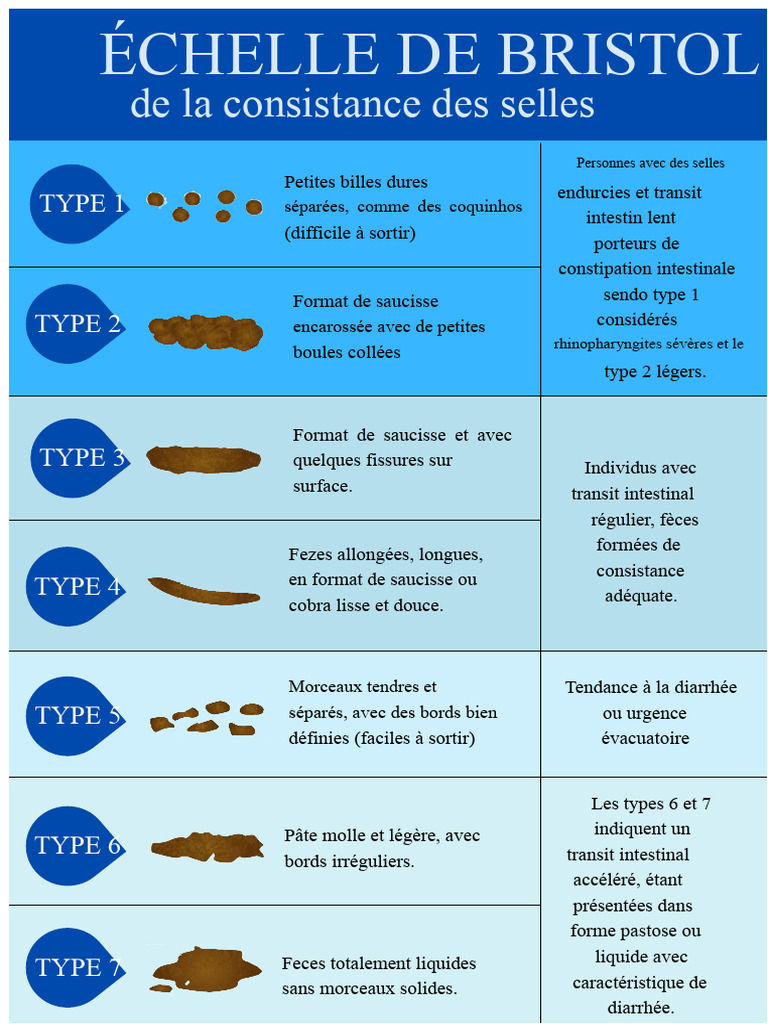 Classification des Selles de Bristol | PDF | Constipation | Diarrhée