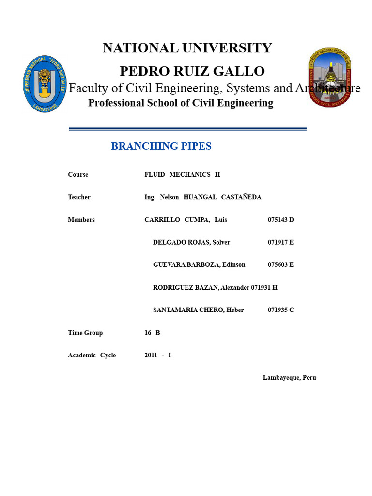 Branching Pipes - Work | PDF | Fluid Dynamics | Liquids