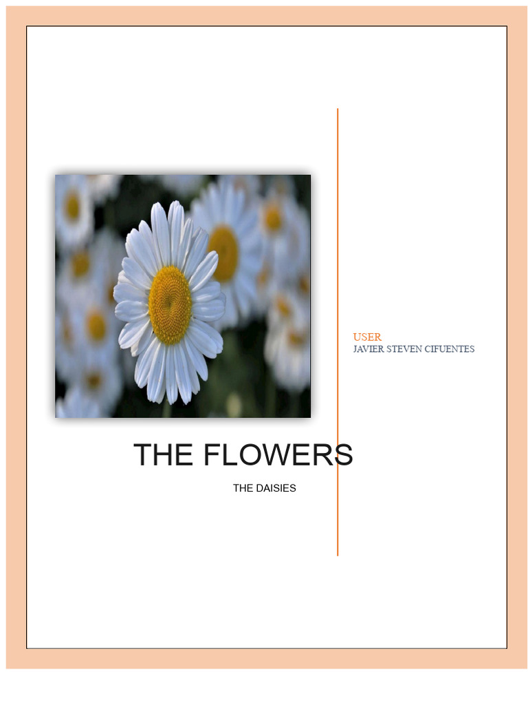 Cultivating Daisies: A Comprehensive Guide | PDF | Flowers | Plants