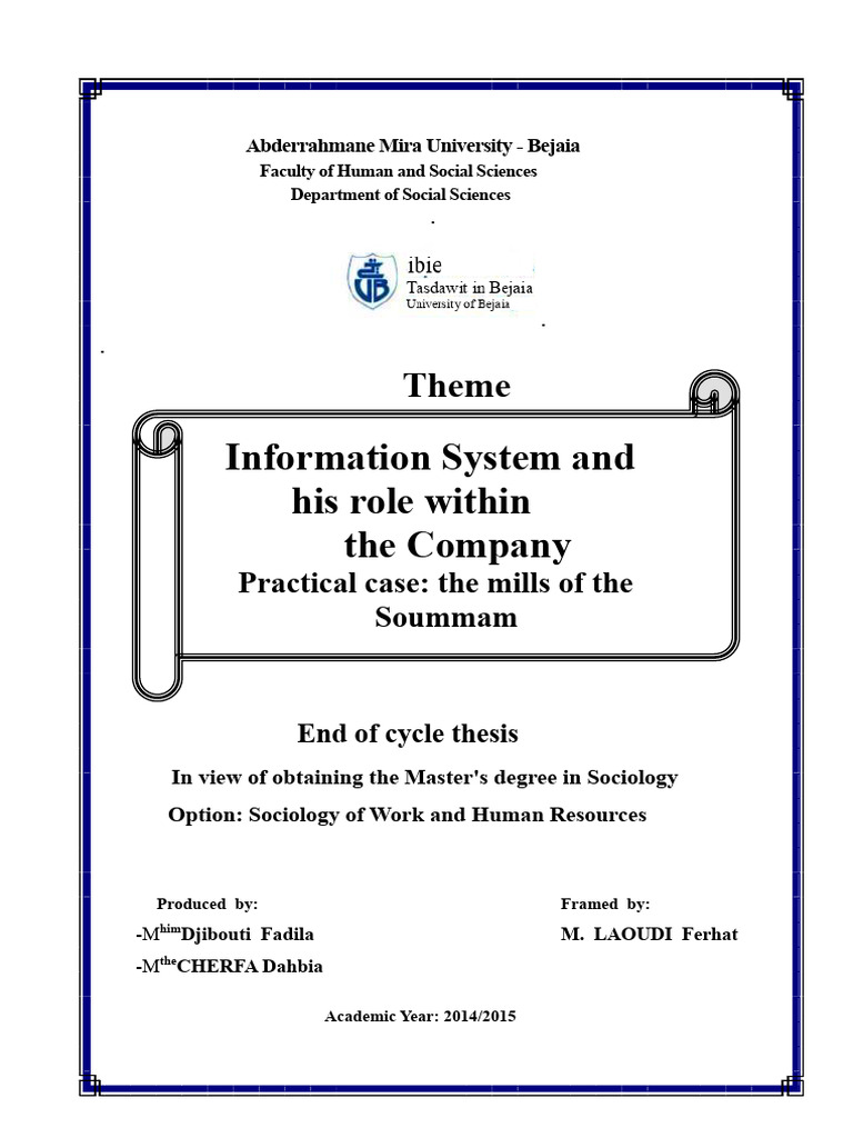 Information System and Its Role Within The Company | PDF | System ...
