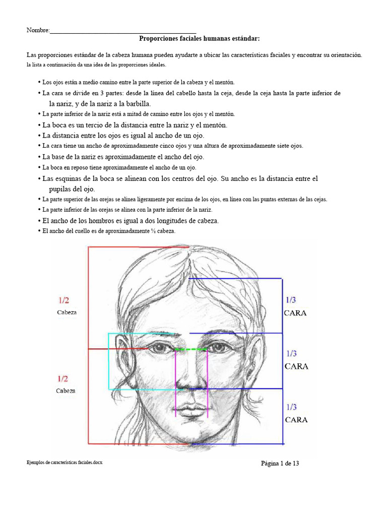 Proporciones Faciales Humanas Estándar | PDF | Ojo | Cara