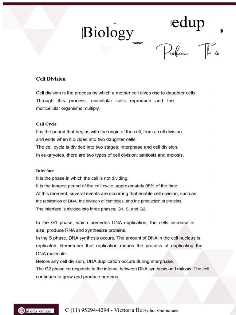 Cell Division Summary | PDF | Mitosis | Cell (Biology)