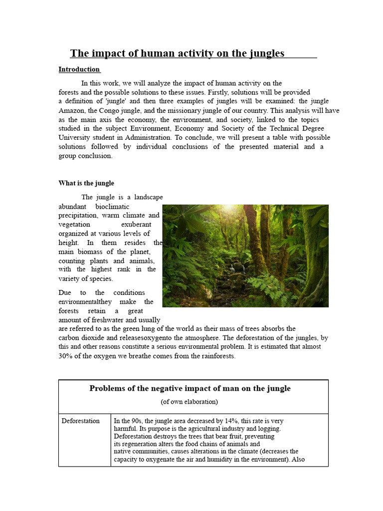 The Impact of Human Activity On The Jungles | PDF | Amazon Rainforest ...