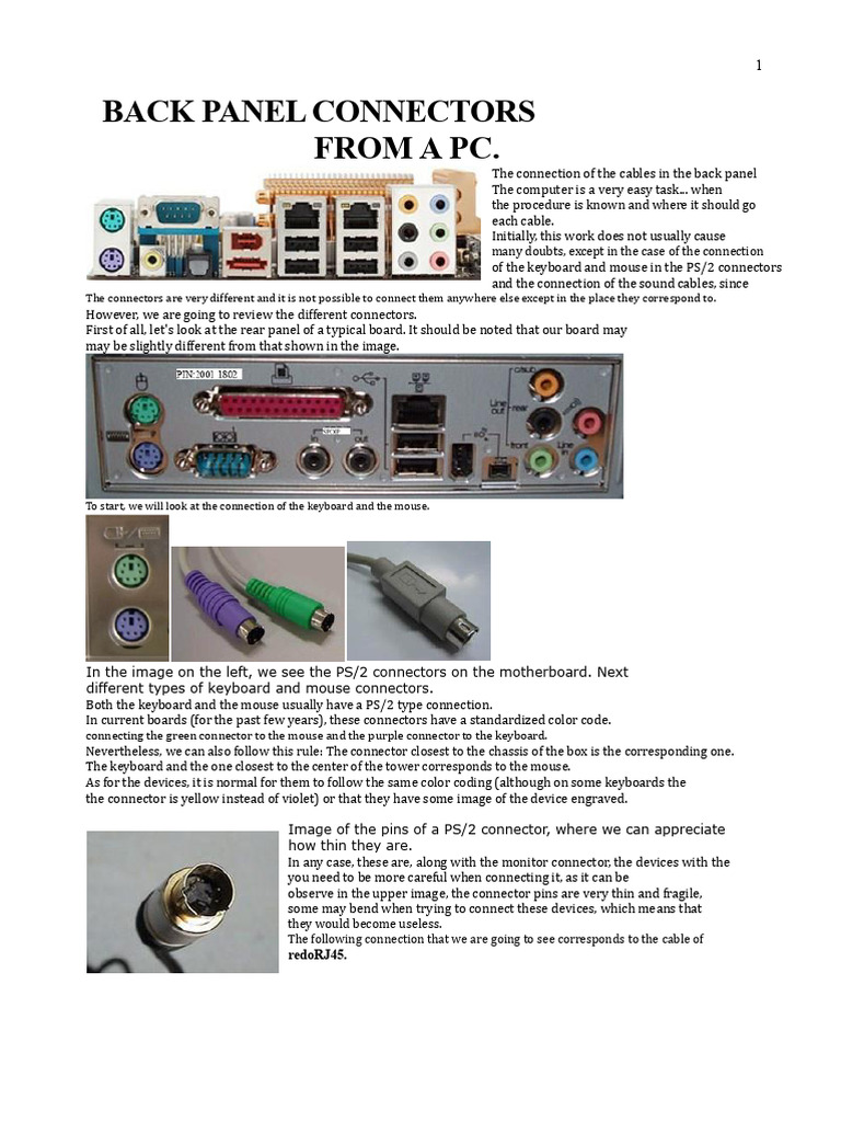 Connectors of The Back Panel of A PC | PDF | Usb | Office Equipment