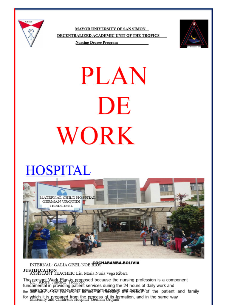 Work Plan German Urquidi | PDF | Hospital | Neonatology
