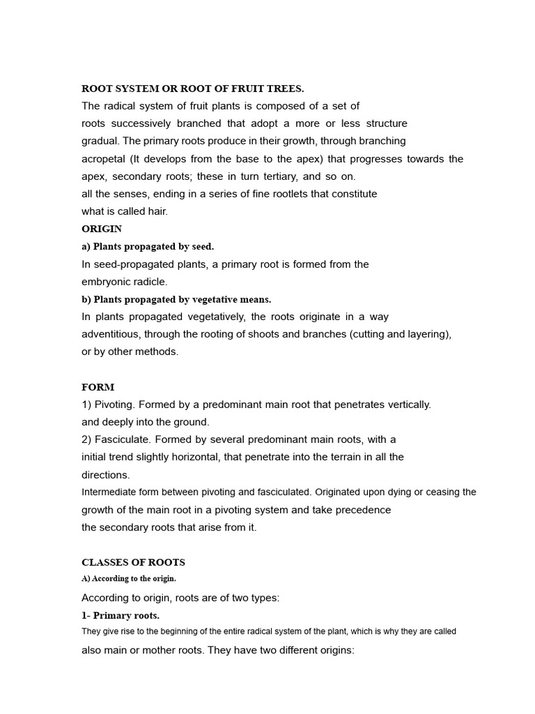 Understanding Fruit Tree Root Systems | PDF | Root | Plants