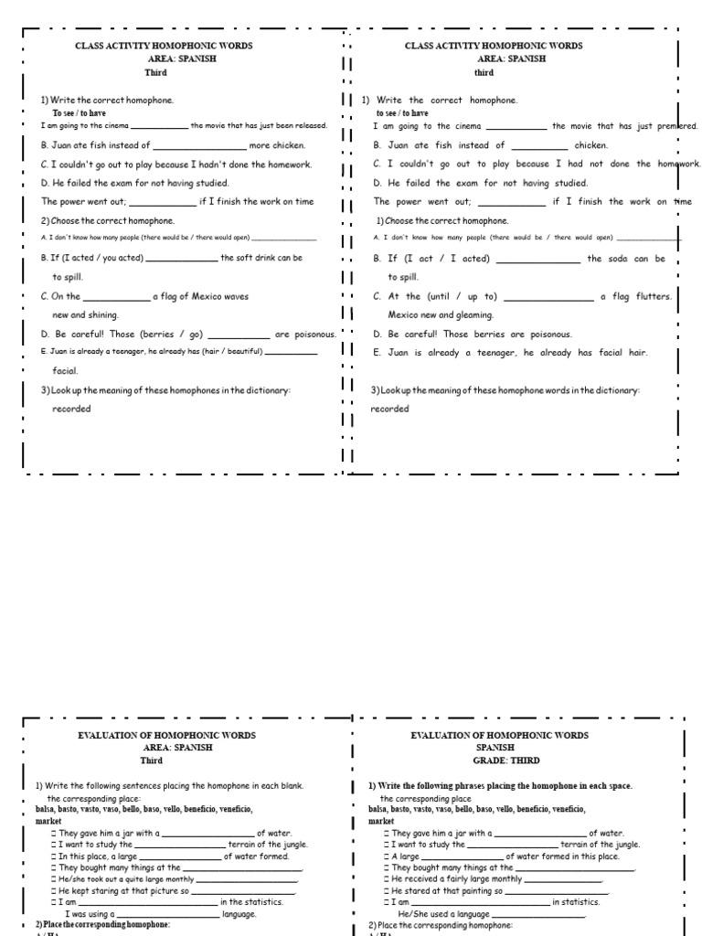 Class Activity Homonyms | PDF