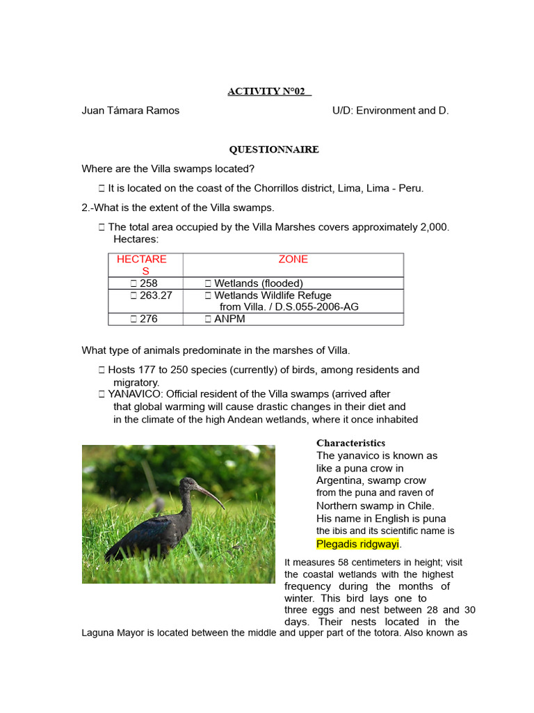 Villa Marshes | PDF | Wetland | Swamp