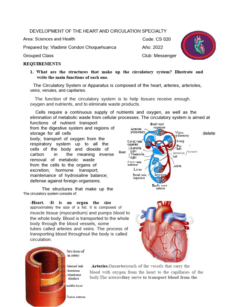 Heart and Circulatory System Overview | PDF | Heart Valve | Lymphatic ...